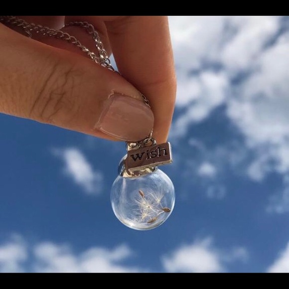 Jewelry | Dandelion Seed Wish Necklace | Poshmark